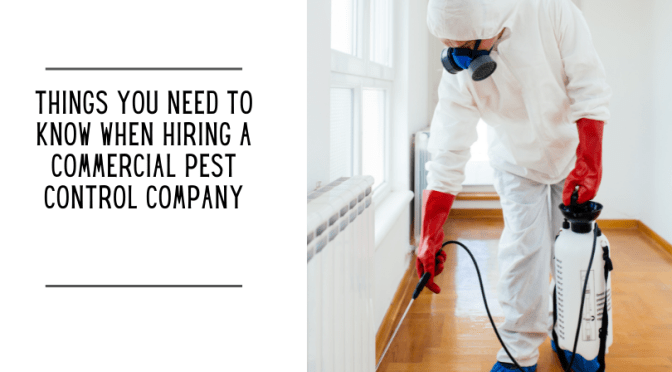 Things You Need to Know When Hiring a Commercial Pest Control Company ...