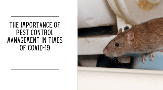 The Importance of Pest Control Management in Times of COVID-19 - Avalon ...