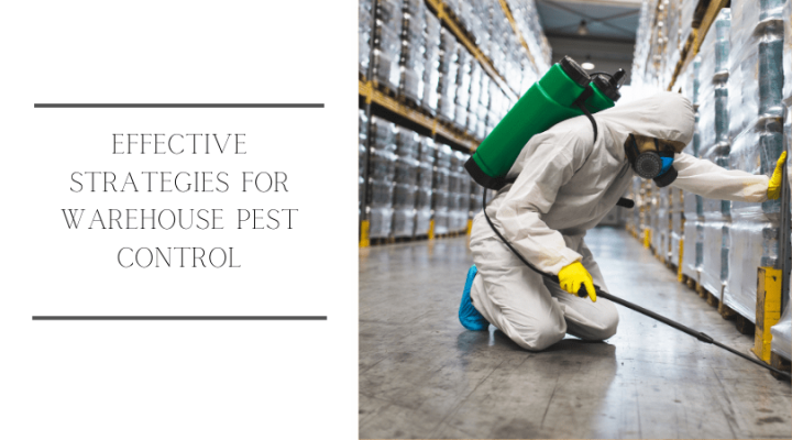 Effective Strategies for Warehouse Pest Control - Avalon Services