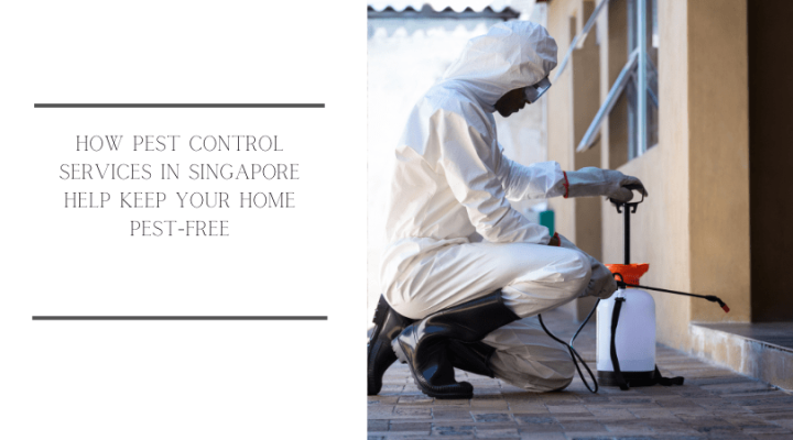 How Pest Control Services in Singapore Help Keep Your Home Pest-Free ...