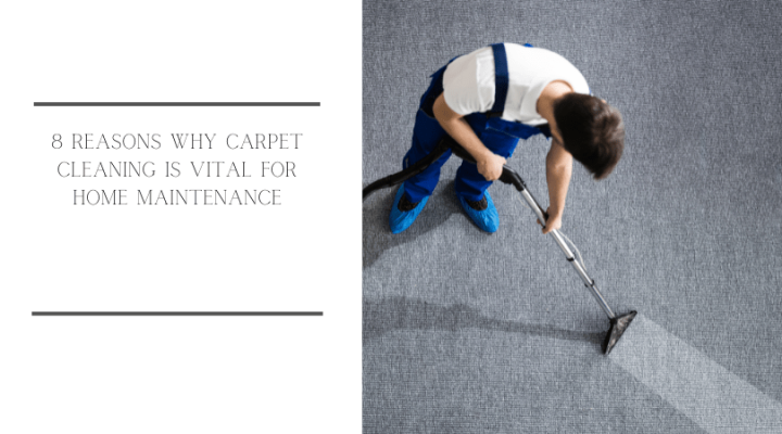 8 Reasons Why Carpet Cleaning is Vital for Home Maintenance - Avalon ...