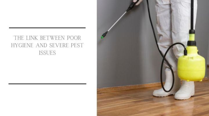 The Link Between Poor Hygiene and Severe Pest Issues - Avalon Services